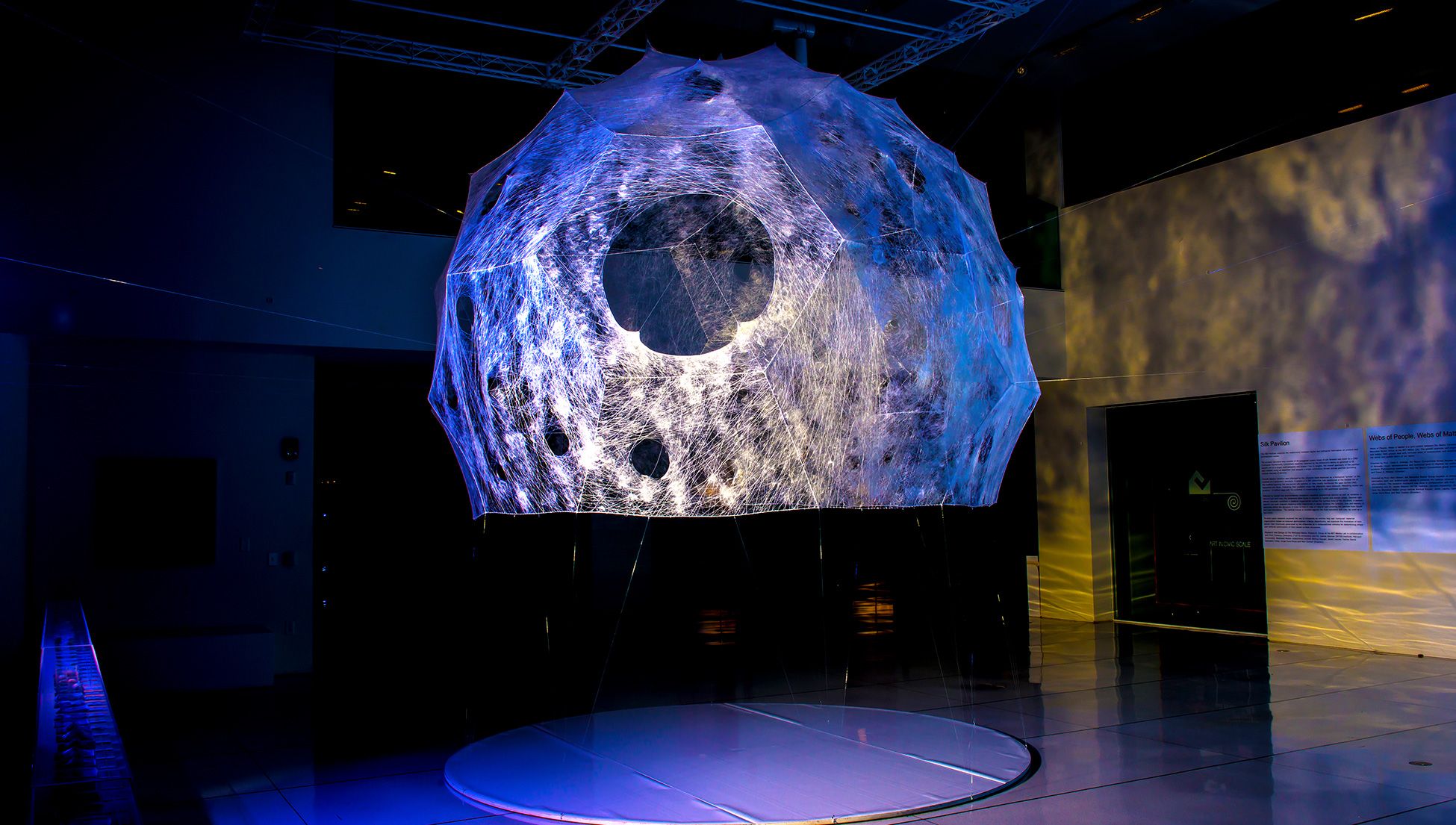A human–silkworm collaboration shows the way to sustainable design ...